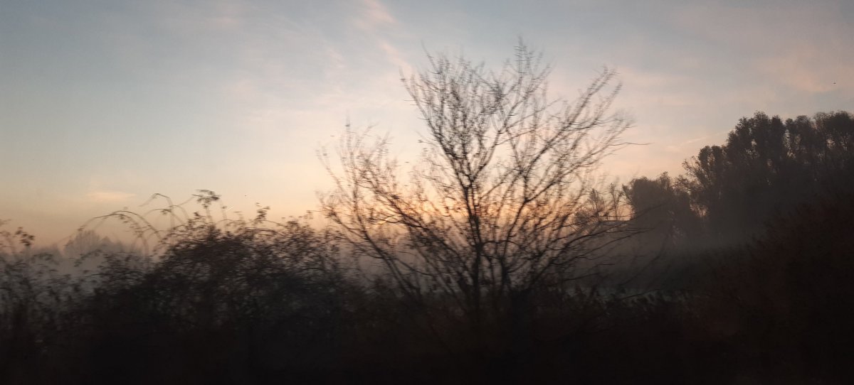 Novemberlicht – unterwegs-geschichten